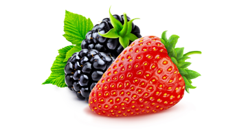 AFRI FRUIT – Fruit Of Africa